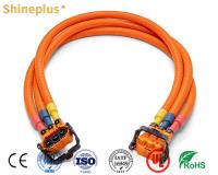 China High Voltage Wiring Harness for Electric Vehicles, Compatible with Motor, Factory Price for sale