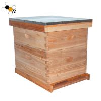 China 20mm Thickness Langstroth Beehive for sale
