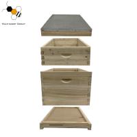 China Non Toxic Unassembled Bee Boxes 24mm Dadant Beehive for sale