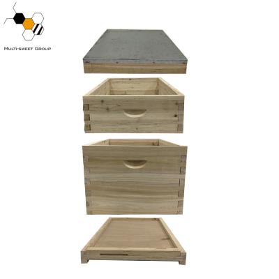 China Non Toxic Unassembled Bee Boxes 24mm Dadant Beehive for sale