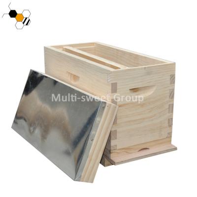 China Queen Rearing 19mm Beekeeping Wooden House 5 Frames Bee Nuc Box for sale