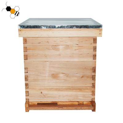 China China Fir 20mm 8 Frame Langstroth Bee Hive for sale