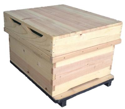 China 21.5kg 55*52*32cm Unassembled 10 Frame Beehive Box for sale
