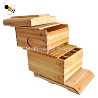 China 18mm Thickness Wax Coated Flow Bee Hive With Queen Excluder for sale