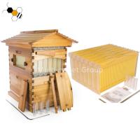 China 18mm Thickness Wax Coated Flow Bee Hive With Queen Excluder for sale