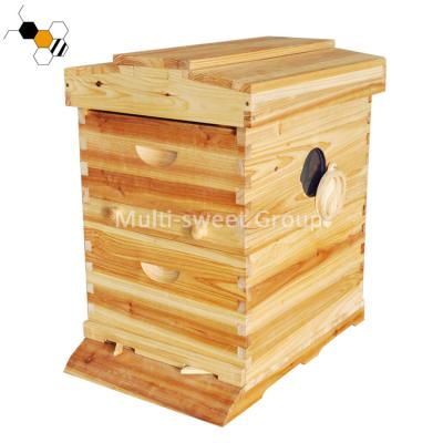 China 18mm Thickness Wax Coated Flow Bee Hive With Queen Excluder for sale