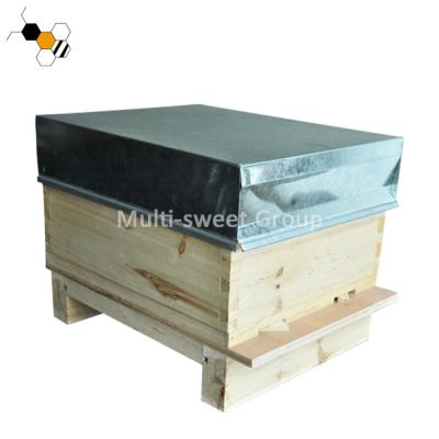 China Reusable Wooden Beehive Box 22mm Nucleus Hive Box for sale
