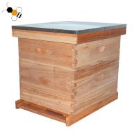 China 20mm Thickness Langstroth Beehive for sale