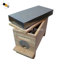 China Bee Farm Swarm Capture 50.5*20.5*26cm Wooden NUC Box for sale