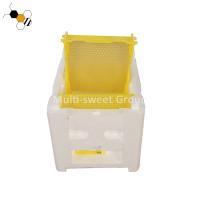China Styrofoam Queen Bee Mating Box 24*15*16.5cm Queen Rearing Nucleus Hive for sale
