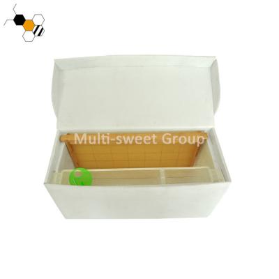 China 4mm Thickness 5 Frame Nuc Box Polypropylene Bee Hives for sale