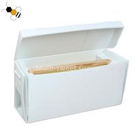 China 4mm Thickness 5 Frame Nuc Box Polypropylene Bee Hives for sale