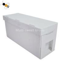 China 5 Frames Nuc Box 465*208*268mm Corrugated Plastic Langstroth Nuc Box for sale