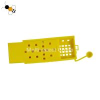 China Foldable 100pcs 10g Plastic Queen Cage With Feeder Plate for sale
