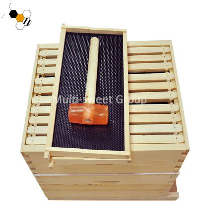 China Beekeeping Boxes Langstroth Beehive Kit Apiculture Tools for sale