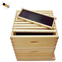 China Beekeeping Boxes Langstroth Beehive Kit Apiculture Tools for sale