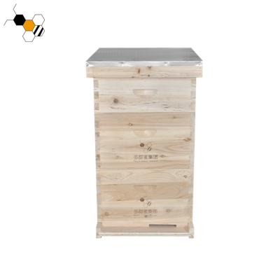 China 20mm Thickness Langstroth Beehive 3 Layers 10 Frames Bee Hive for sale