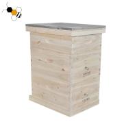 China 20mm Thickness Langstroth Beehive 3 Layers 10 Frames Bee Hive for sale
