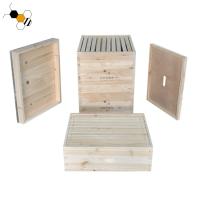 China 20mm Thickness Langstroth Beehive 3 Layers 10 Frames Bee Hive for sale