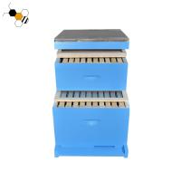 China Wood Blue Color 4 Layers Langstroth Bee Hive Pine Wood for sale