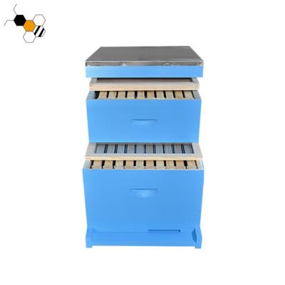 China Wood Blue Color 4 Layers Langstroth Bee Hive Pine Wood for sale
