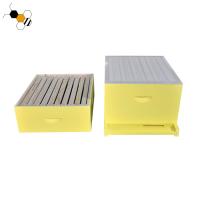 China Painted 10 Frames Bee Farm 2 Layers Langstroth Beehive for sale