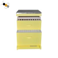 China Painted 10 Frames Bee Farm 2 Layers Langstroth Beehive for sale