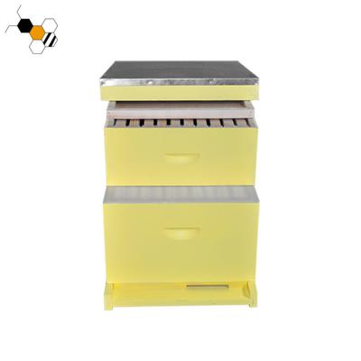 China Painted 10 Frames Bee Farm 2 Layers Langstroth Beehive for sale