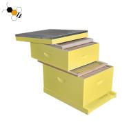 China Painted 10 Frames Bee Farm 2 Layers Langstroth Beehive for sale