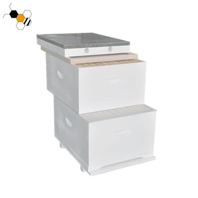 China 20mm Thick 10 Frames White Wood Pine Bee Hive for sale