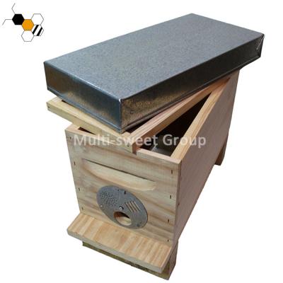China Bee Hive Equipment Queen Rearing Nuc Box Langstroth Beehive for sale