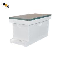 China Painted White Langstroth Nuc Box Bee Hive Equipment Wooden Bee Hive for sale