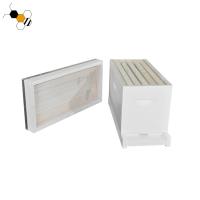 China Painted White Langstroth Nuc Box Bee Hive Equipment Wooden Bee Hive for sale