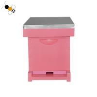 China queen rearing 5 Frame bee hive equipment Langstroth Painted Nuc Box for sale