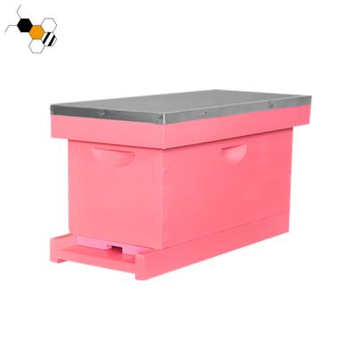 China queen rearing 5 Frame bee hive equipment Langstroth Painted Nuc Box for sale
