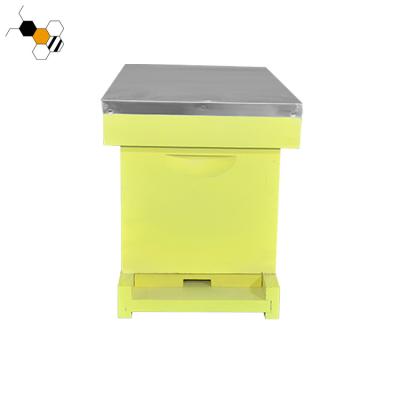 China Painted Fir Wooden Yellow Langstroth Nuc Box For queen rearing for sale