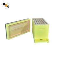 China Painted Fir Wooden Yellow Langstroth Nuc Box For queen rearing for sale