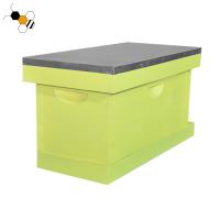 China Painted Fir Wooden Yellow Langstroth Nuc Box For queen rearing for sale