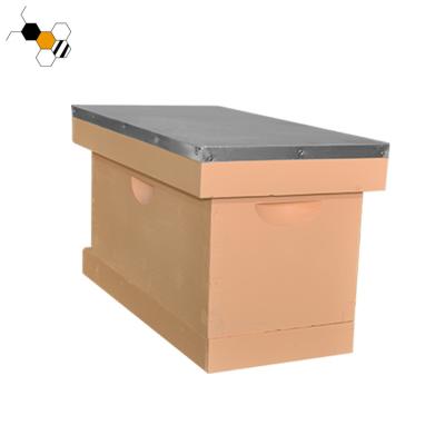 China queen rearing 20mm Fir Langstroth Hive Painted Wooden Bee Hive for sale