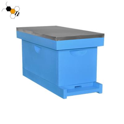 China Painted Langstroth Nuc Box 20mm Fir Wood Bee Box Queen Rearing for sale