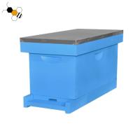 China Painted Langstroth Nuc Box 20mm Fir Wood Bee Box Queen Rearing for sale