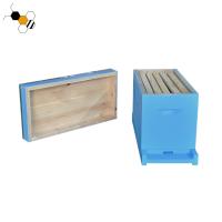 China Painted Langstroth Nuc Box 20mm Fir Wood Bee Box Queen Rearing for sale