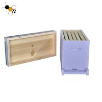 China Bee Hive Equipment Painted 20mm Raising Queens Langstroth Nuc Box for sale