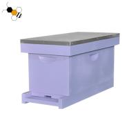 China Bee Hive Equipment Painted 20mm Raising Queens Langstroth Nuc Box for sale