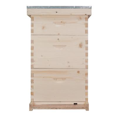 China 20mm Thickness Langstroth Beehive 3 Layers Bee Hive OEM for sale