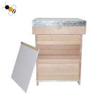 China Galvanized Lid 20mm Thickness Fir Unassembled Bee Hive for sale