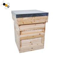 China Antiseptic Thick 20mm Beeswax Foundations Bee Hive for sale