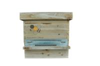 China 2 Layers Thick 22mm Pine Wood Beehive With Metal Roof for sale