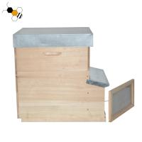 China Corrosion Resistant 8 Frames Wood Fir Beehive 30cm for sale