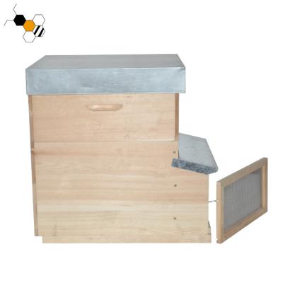 China Corrosion Resistant 8 Frames Wood Fir Beehive 30cm for sale